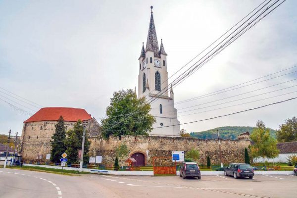 TRADITIE – Crama Garbova